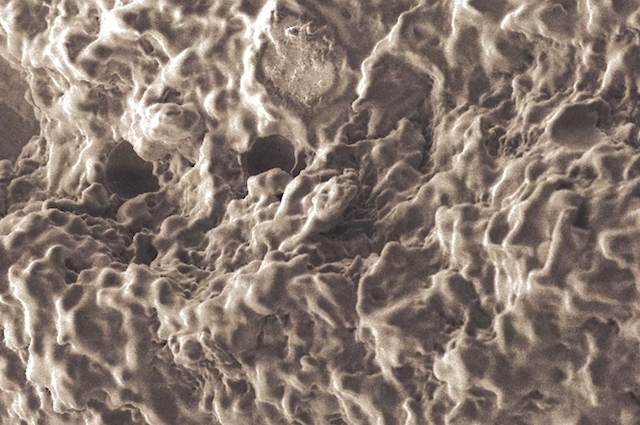 Video: Students in This Chocolate Class Put the Sweet Under the ...